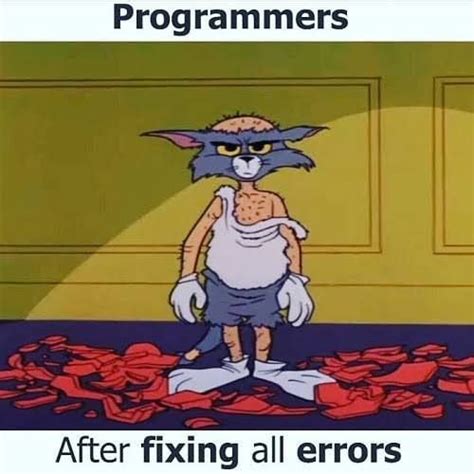 programmers after fixing all the errors r programmerhumor