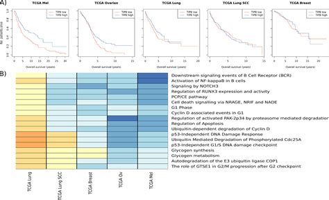 ReactomeGSA Efficient Multi Omics Comparative Pathway Analysis PMC
