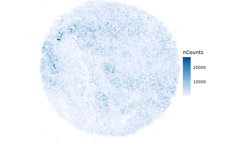 Slide Seq V2 Exploratory Data Analysis • Voyager