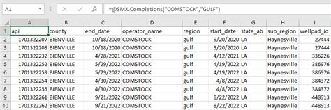 Completions SynMax Excel Add In Documentation
