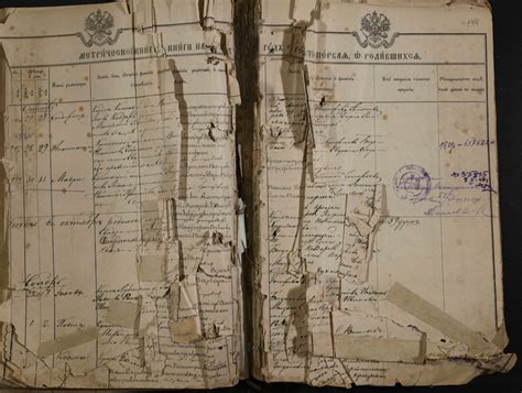 Сімейне дерево Чому важливо досліджувати свій родовід