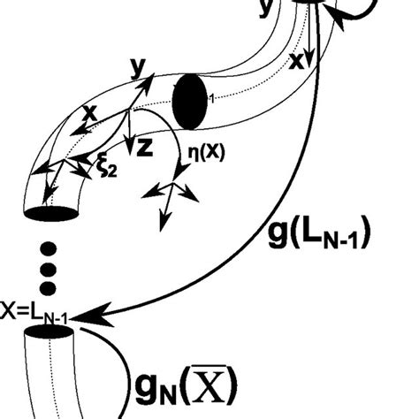 Depiction Of The Kinematics Of The Piece Wise Constant Strain Model Download Scientific Diagram