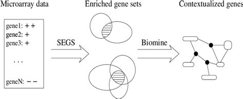 microarray gene analytics proceeds by first finding candidate enriched