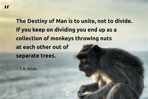 Naughty Monkey Quotes Sarawak State Library