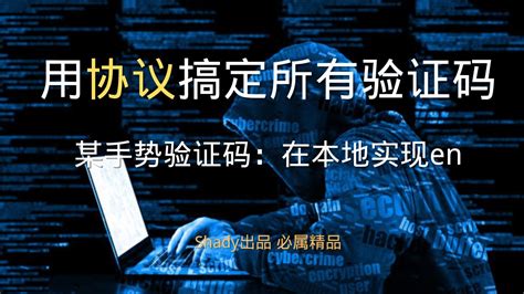 【用协议搞定所有验证码】66 某手势验证码：在本地实现en python js逆向 pythonprogramming 爬虫 图像