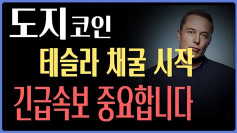 도지코인 테슬라 채굴시작 긴급속보 중요합니다 도지코인 도지 도지전망 Youtube