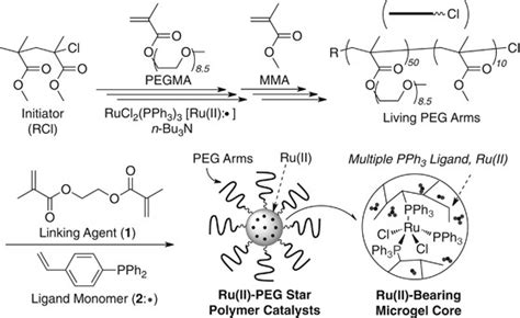 Transfer Hydrogenation Of Ketones Catalyzed By Peg Armed Ruthenium