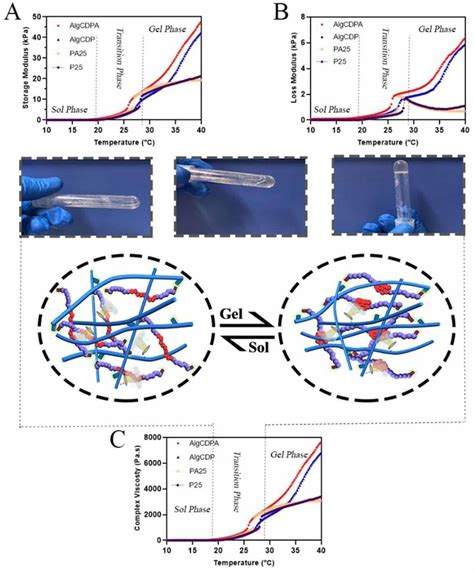 Rheological Properties Of Hydrogels Storage Moduli A Loss Moduli Download Scientific
