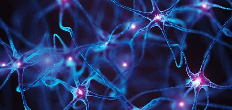 unlocking insights and opportunities with nlp in asset management ab