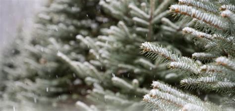 Гороскоп на 4 січня 2025 року для всіх знаків зодіаку Читайте на Ukr Net