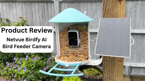 Product Review Netvue Birdfy Ai Bird Feeder Camera Youtube