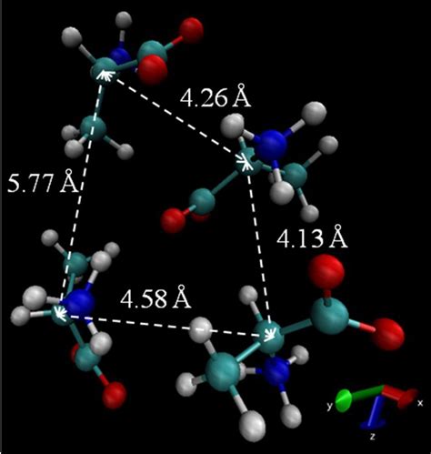 The Orientation Of Alanine Molecules In Alanine 1 M Aqueous Solution