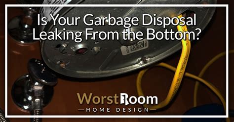 Is Your Garbage Disposal Leaking From The Bottom Worst Room