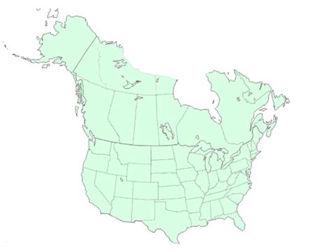 5 Types Of Cockroaches Found In Canada Id Guide Bird Watching Hq