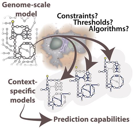 A Systematic Evaluation Of Methods For Tailoring Genome Scale Metabolic Models Cell Systems