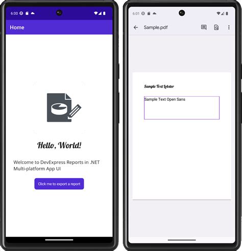Use Reporting Tools In Net Maui Applications Ios Android Net