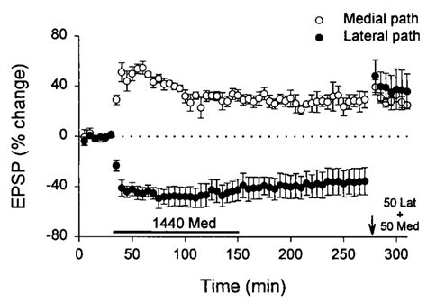 Cs Does Not Completely Prevent Ltp When Combined Hfs Of The Medial And Download Scientific