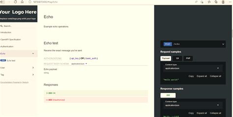 the try it console feature in not visible in open api starter · issue