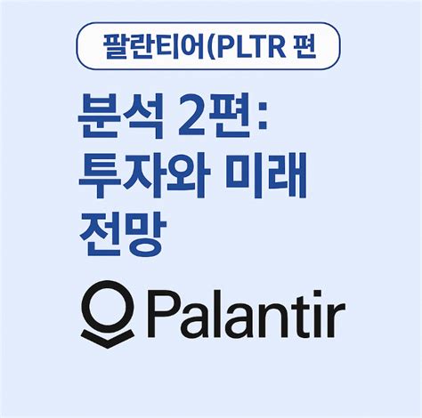 팔란티어pltr 분석 2편 투자와 미래 전망