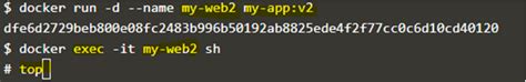 Docker ENTRYPOINT How ENTRYPOINT Works In Docker