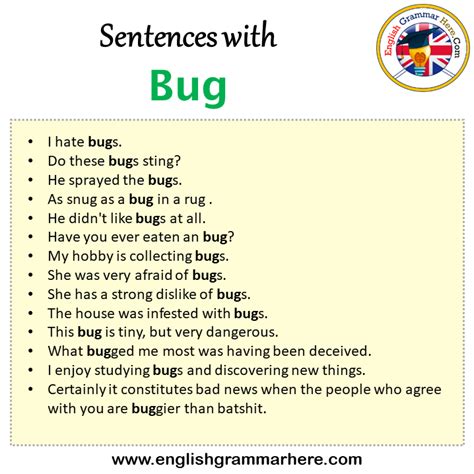 Sentences With Bug Bug In A Sentence In English Sentences For Bug English Grammar Here