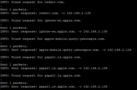 Wireless Attacks With Python Part One The Dnspwn Attack