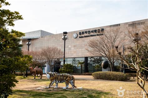 Mokpo Natural History Museum 목포자연사박물관 Culture Korea travel and tourism information