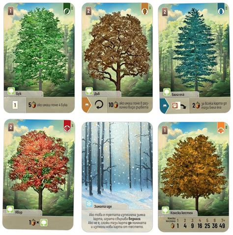 Настолна игра Горска Бъркотевица Forest Shuffle Семейна Ozone Bg