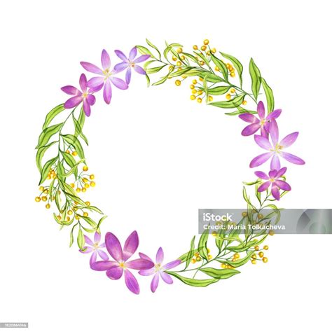 밝은 녹색 나뭇가지 허브 크로커스 사프란 노란 꽃 나뭇잎으로 화 환 스프링 구성 흰색에 고립된 수채화 그림입니다 텍스트를 위한 공간입니다 초대인사에 고정됨에 대한 스톡 벡터