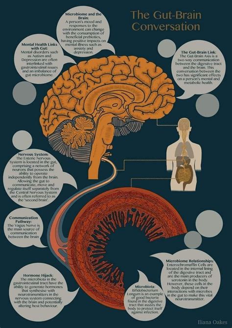 Anthony The Gut Brain Conversation Facebook