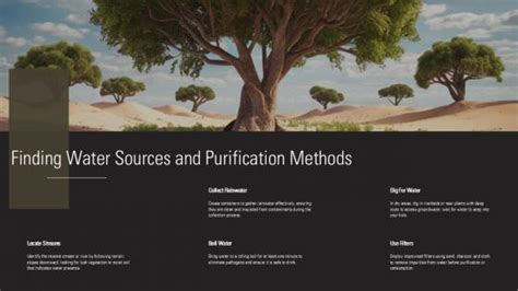 Finding Water Sources And Purification Methods Wilderness Survival