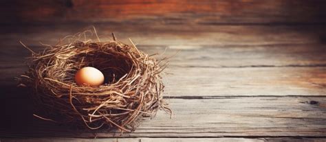 รปภาพ Nesting เลอกดภาพถายสตอก เวกเตอร และวดโอ1 240 811 Adobe Stock