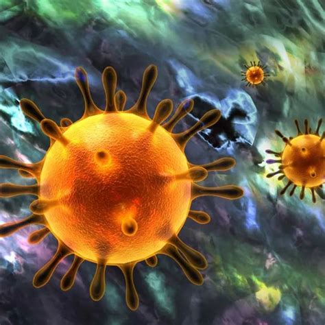 带你认识微生物——霉菌 菌丝 孢子 生态