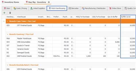 buffer level paradigm software and hosting