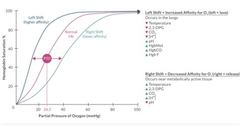 O2 Content Delivery Consumption And Oxyhem Curve Flashcards Quizlet