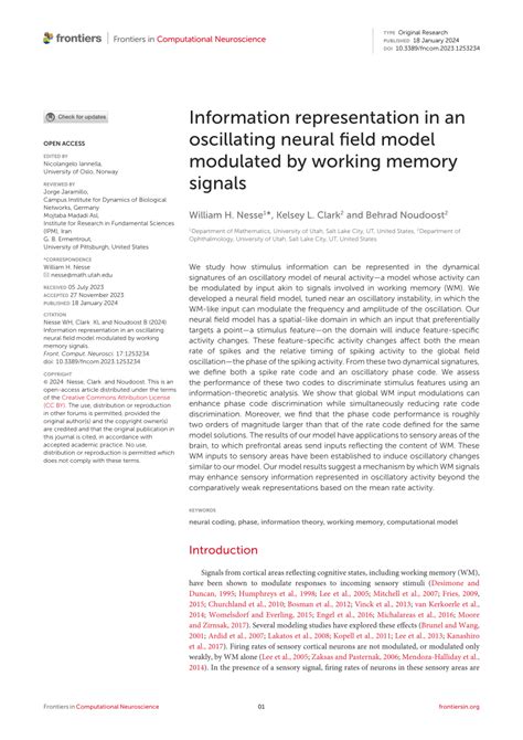 pdf information representation in an oscillating neural field model