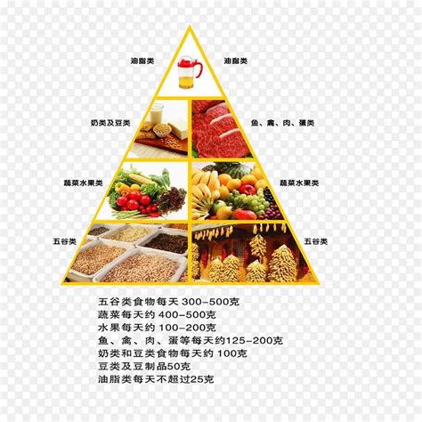 科学运用膳食金字塔PNG图片素材下载 图片编号qjndjjnq 免抠素材网