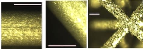 Figure 1 From Cosserat Elasticity Of Octet Truss Titanium Alloy Lattices Semantic Scholar