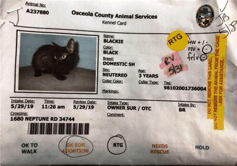 Cat Care Module