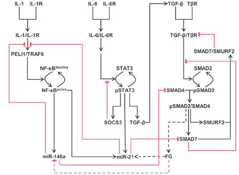 Schematic View Of The Integrated Network Model Of Signaling Pathways