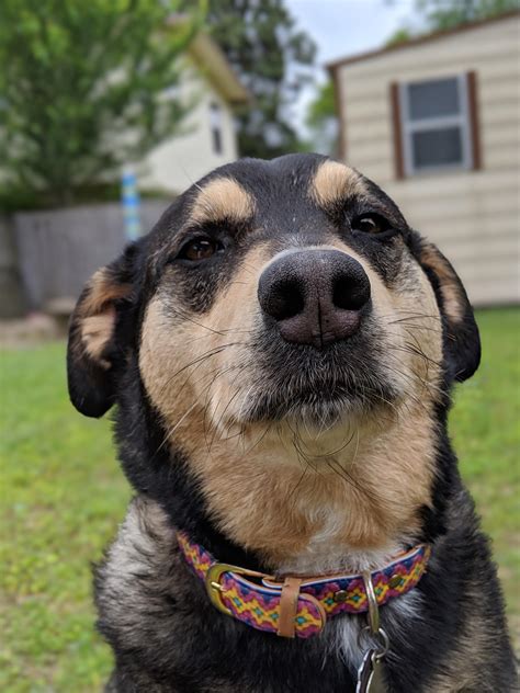 80 Best Ubriebeecher Images On Pholder Cosplay Cosplaygirls And Adventuretime