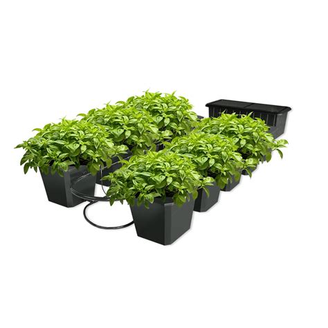 Hydroponic Bucket System Efficient Growth For Your Plants