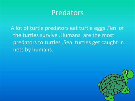 Ppt Sea Turtles Powerpoint Presentation Free Download Id2181307