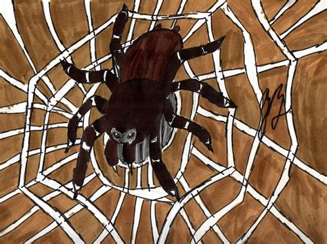 Austrailian Funnel Web Spider By TheZackBurg On DeviantArt