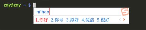 sogou input method input chinese in the terminal the chinese