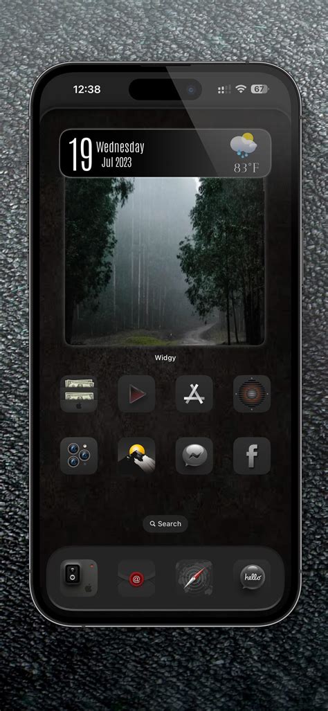 Setup R Widgy