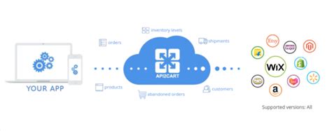 what are webhooks and how do they work api2cart