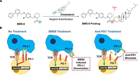 Multifunctional Lipid Bilayer Nanocarriers For Cancer 56 Off