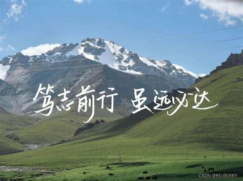 C 庖丁解牛模拟实现STL的string容器最后附源码 初学教程