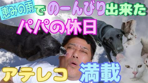 坂上忍、交際14年の“彼女さん”と電撃結婚を発表！ファン驚きの告白に大反響 │ トリビアンテナ 5chまとめアンテナ速報